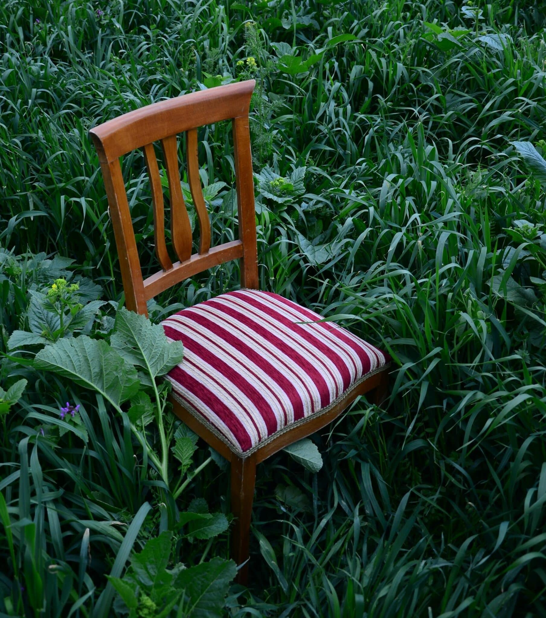 Quelle galette de chaise choisir pour son intérieur ? – DEAL MAISON